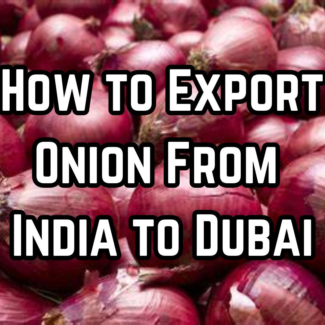 How to Export Onion From India to Dubai – Connecting India Exim Solution